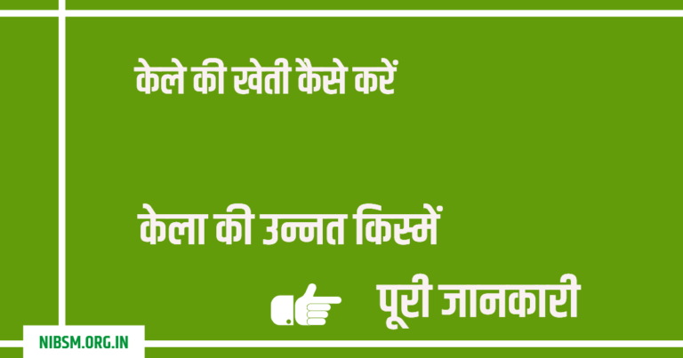 केला की खेती कैसे करें Banana Farming In Hindi केला के प्रकार